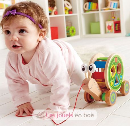 Hape snail shape sorter store