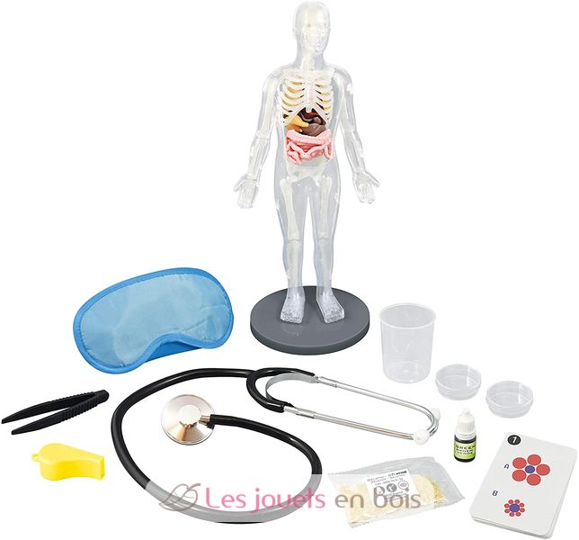 Human Body Buki France - scientific box for child