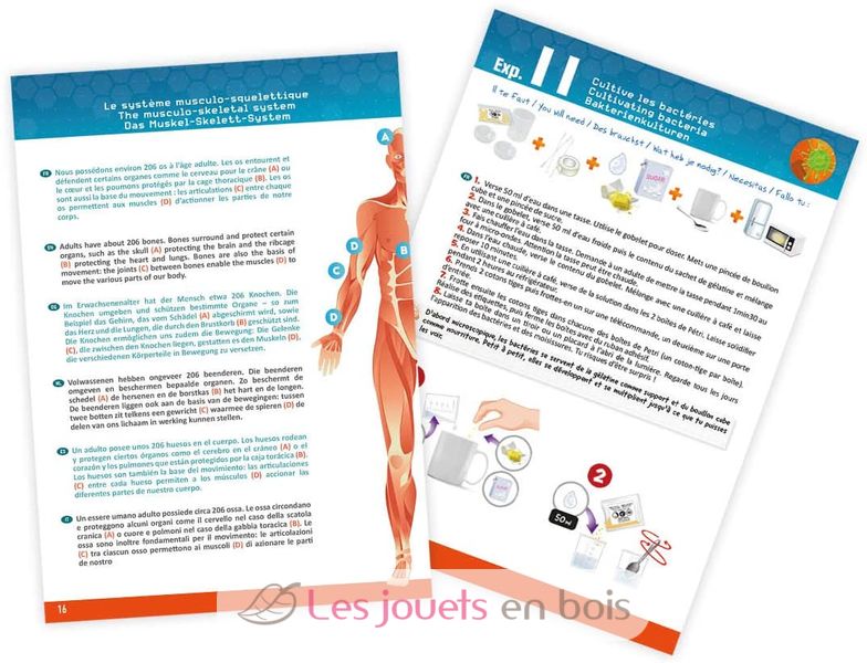 Human Body Buki France - scientific box for child