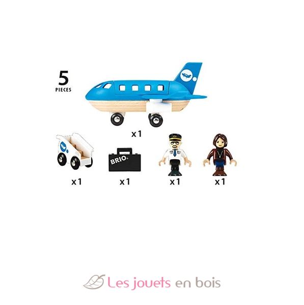 Passenger plane Brio 33306. A box with his plane and its passengers ...