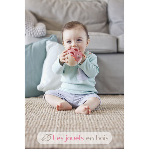 Busy Bug Roll - Hape E8522 - Rattle for babies - Teething rattle